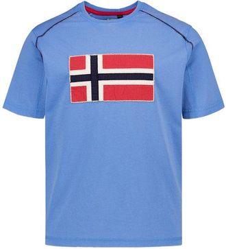 Napapijri Herren T-Shirt blau