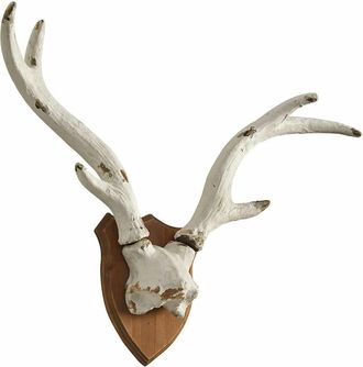 Loberon Deko-Geweih Talim, auf Kunstvollem Troph&auml;enschild, Eindrucksvolle Gr&ouml;&szlig;e, Weihnachten, Weihnachtsdekoration, Wanddeko, Polyresin, Tannenholz, wei&szlig;