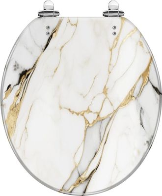 Generic 529|Runder Toilettensitz, silberfarbener Toilettendeckel aus geb&uuml;rstetem Metallharz mit leise schlie&szlig;enden Schnellverschlussscharnieren, dekorativer S