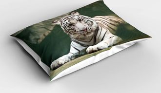 Abakuhaus Tiger Kissenbezug, Wei&szlig;er Tiger-Schwimmen-Spa&szlig;, Dekorativer Standard King Size Gedruckter Kissenbezug, 80 x 40 cm, Wei&szlig; Teal