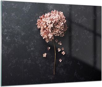 Arttor Bilder auf Glas Blume Hortensie Natur Glasbild 70x50cm Wandbilder Dekoration Wohnzimmer Schlafzimmer Küche Deko Klein Wanddeko Bild im Glas Wand Kunst