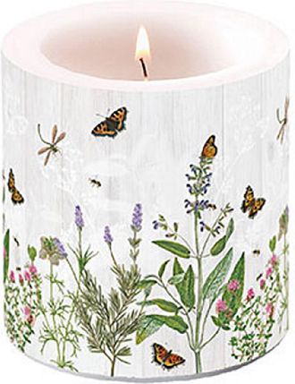 Ambiente Kerze Stumpenkerze Wachswindlicht Dekorationskerze 9 cm hoch Paraffinwachs 35h Brenndauer Kr&auml;uter Garten Tischdekoration Serie herb garden