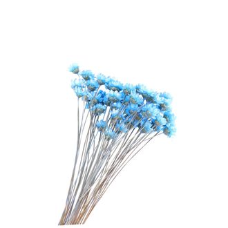 Amosfun 50 Stück Kleine Getrocknete Blumen Getrocknete Kamillenblüten Getrocknete Blumen Dekoration Lilane Blumen Getrockneter Blumenstrauß Getrocknete Horten