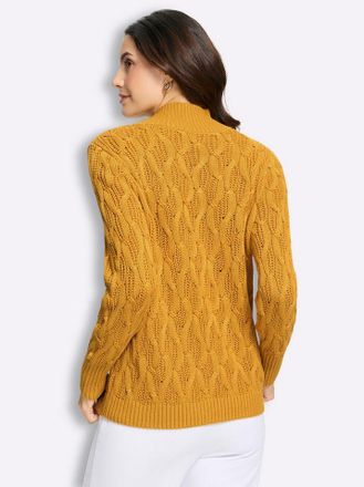 Witt Strickpullover Stehkragen-Pullover Langarm Zopfmuster