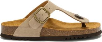 Scholl Femme, Chaussures, Beige, Taille: 40 EU Anais