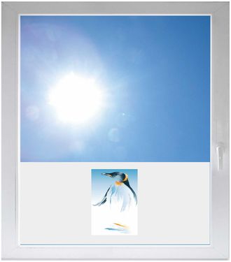 Indigos UG Fensterfolie Blickdicht Schw&auml;ne Baby - Pinguine - 1000x500mm - Sonnenschutzfolie Fenster - Sichtschutzfolie Fenster Bad, K&uuml;che, Fenster, Milchglasfoli