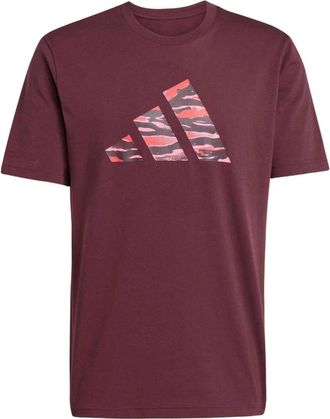 adidas Homme, Tops, Violet, Taille: M Ji6769 Short Sleeve T-Shirt