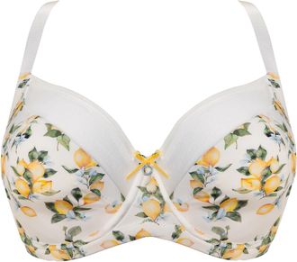 SugarShape BH GRACY