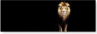 Paul Sinus Art Leinwandbilder | Bilder Leinwand 120x40cm Portrait eines Löwen im dunkeln