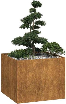 vidaXL Vidaxl - Jardini&egrave;re rouill&eacute; 100x100x80 cm acier inoxydable