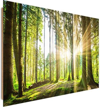 Feeby Frames Wandbild, Deco Bild, gedrucktes Bild, Deco Panel, Bild, 78x118 cm, Wald, Baum, Sonne, Natur, Landschaft, GR&Uuml;N