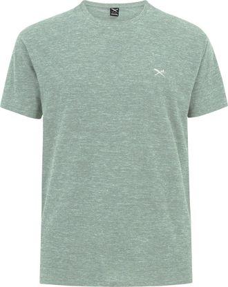 Iriedaily T-Shirt Herren - Chamisso Tee in Mintgrey, XXL