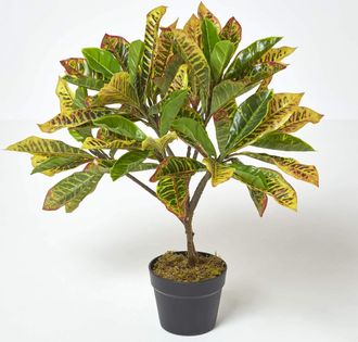 Homescapes Kunstpflanze/Zimmerpflanze immergr&uuml;n Wunderstrauch/Kroton im Topf 65 cm hoch