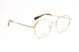 Ana Hickmann Brillenfassung HI1218T 05A 51 Titan