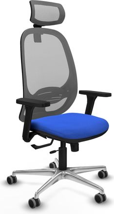 Piqueras y Crespo Cilanco Sicherheitsstuhl mit 3D-Armen, h&ouml;henverstellbarer Lendenwirbelst&uuml;tze und h&ouml;henverstellbarem Kopfteil, Grau/Blau