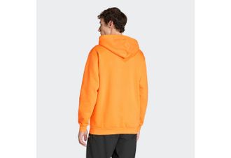 ADIDAS TERREX Kapuzensweatshirt MT L LOGO HD