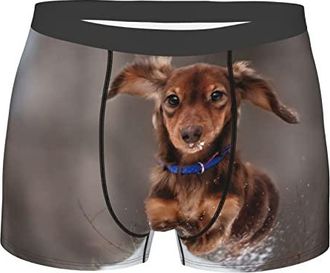Generic Boxer Homme Dr&ocirc;le De Chien Teckel dans Le Parc dhiver sous-V&ecirc;tement Et Confortable Cale&ccedil;ons Boxer Coupe &Eacute;lastique Fitted Cale&ccedil;ons, pour Le Sport, LUsa