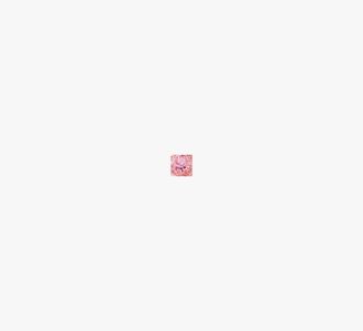 Kate Spade New York That Sparkle Ohrringe, Rund