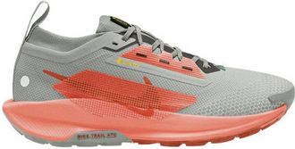 Nike Pegasus Trail 5 GORE-TEX - Trailrunningschuh - Herren