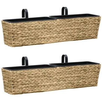 vidaXL Jardini&egrave;res 2 pcs Jacinthe deau Vidaxl