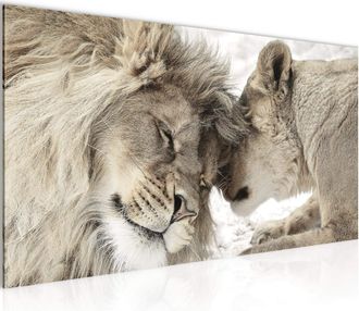 Runa Art Wandbild Löwen Liebe 1 Teilig 100 x 40 cm Modern Bild auf Vlies Leinwand Löwe und Löwin Wohnzimmer Schlafzimmer Beige 002112b