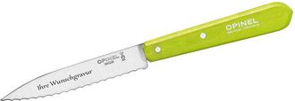 Opinel Küchenmesser No. 113, feine Sägezahnung (hellgrün, mit Namensgravur, One Size)