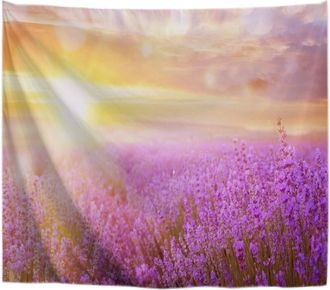 A.Monamour Wanddekor Wandbild Vorhang Wandteppiche Sonnenuntergang Über Einem Sommer Lila Lavendel Feld Natur Landschaft Landschaft Bild Stoff Wand Wandbehänge V