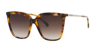 Enrico Coveri Lunettes de soleil, ECS104, lunettes de soleil femme, lunettes carr&eacute;es, marron