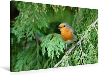 Calvendo Premium Textil-Leinwand 75 x 50 cm Quer-Format Das Rotkehlchen, singt uns ein Lied | Wandbild, HD-Bild auf Keilrahmen, Fertigbild auf hochwertigem Vli