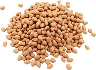 Garneck Ruf 1 Künstliche Erdnusskerne Modell Äpfel Fake Organizer Nüsse Süßigkeiten Foto Sammelalbum Trockenmörtel Maker Trockenobst Simulation Erdnuss Orname