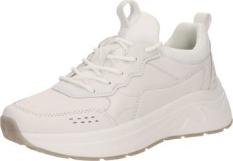 Salamander Sneaker