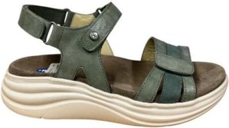 Wolky Femme, Chaussures, Vert, Taille: 42 EU Sandales