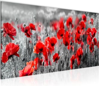 Runa Art Wandbild Blumen 100L x 40B cm Modern Bild auf Vlies Leinwand Rot Wohnzimmer Schlafzimmer B&uuml;ro Blumen 059312b
