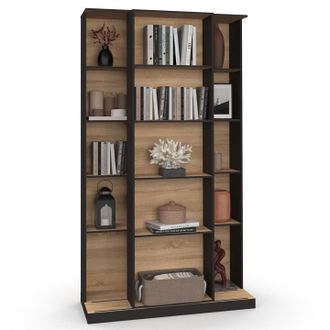 IDMarket Ausziehbares B&uuml;cherregal Alphonse 5 Ebenen 15 Nischen Holz und Schwarz