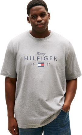 Tommy Hilfiger Herren Bt-Brand Love Big Hilfiger Tee-B Mw0Mw43005 S/S T-Shirt, Grey (Medium Grey Heather), 3XL