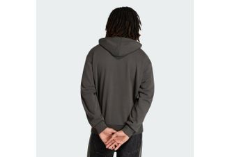 adidas Performance Hoodie AUDI REVOLUT F1 TEAM DNA FRENCH TERRY HOODIE (1-tlg)