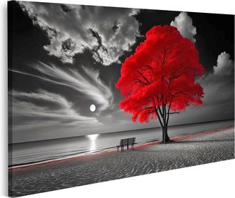 Islandburner Bild auf Leinwand Roter Baum am Strand bei Nacht mit Wolken und Bank Bilder Wandbilder Poster