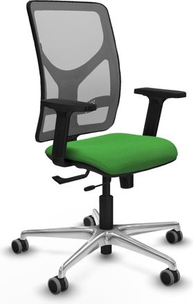 Piqueras y Crespo Arbeitsstuhl mit Rollen mit 2D-Armen, h&ouml;henverstellbare Lendenwirbelst&uuml;tze, ausgestattet mit Syncro/Traslack und Schneideschaum, Grau/Gr&uuml;n