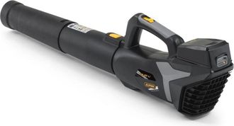 Alpina Outdoor ab 20 Li Akku 271504104/A24 Laubbl&auml;ser 20 v - Alpina