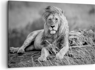 Arttor Wandbilder Dekoration Wohnzimmer L&ouml;we Tier Natur Bilder auf Leinwand 120x80cm Leinwandbild mit Rahmen Schlafzimmer K&uuml;che Deko Wand Kunstdruck Art Gro&szlig;