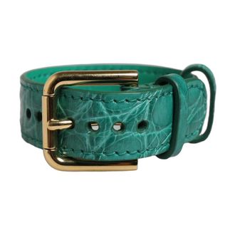 Dolce & Gabbana Embossed Leather Belt with Gold Buckle - - Accessories - Damen - Gr&uuml;n - ONE SIZE