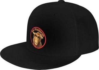 Generic Casquette de Baseball pour Hommes, Casquette de Baseball Alf No Problem Casquette Tactique Militaire Chapeau de Luxe Casquette de Camionneur pour Homm