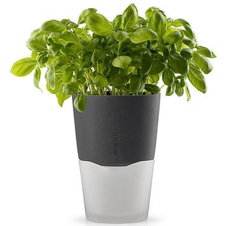 Eva Solo Eva Solo Kr&auml;utertopf 11 Steingrau, Stein