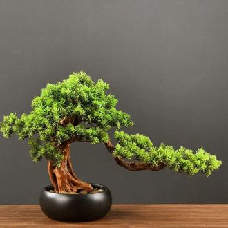 Generic Kunstbonsai Naturgetreue K&uuml;nstliche Pflanze Kunstbaum Bonsai Zeder Kiefer Podocarpus Plastik Pflanze Kunstpflanze Mit Keramik-&Uuml;bertopf In Schwarz for 