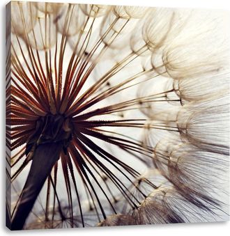 Pixxprint Schöne Pusteblume, Größe: 70x70, Leinwandbild Quadratisch, Wandbild, Kunstdruck, fertig bespannt