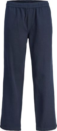 Jack & Jones Hose JPSTKarl Ivy