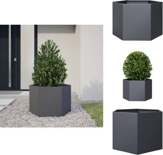 vidaXL Vidaxl - Jardinière anthracite hexagone 69x60x45 cm acier - Jardinière - Jardinières - Jardinière De Fleurs - Jardinière Dextérieur