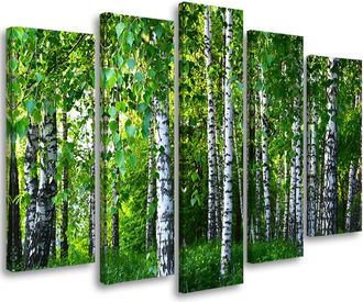 Feeby Bild auf Leinwand 150x100 cm B&auml;ume Natur Wald 5-teilig modern Druckbild Wandbild Wanddekoration Aesthetic Gras Birken Pflanzen Gr&uuml;n
