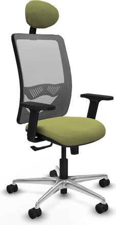 Piqueras y Crespo Schreibtischstuhl Mintgr&uuml;n Zulema mit 2D-Armlehnen, h&ouml;henverstellbarer Lendenwirbelst&uuml;tze und festem Kopfteil, ausgestattet mit 3 Positionen und Schne