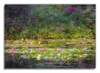 Wallario selbstklebendes Poster - Bl&uuml;hender Seerosenteppich, Aufkleber in Premiumqualit&auml;t, Klebefolie Gr&ouml;&szlig;e: 70 x 100 cm (Riesenposter)